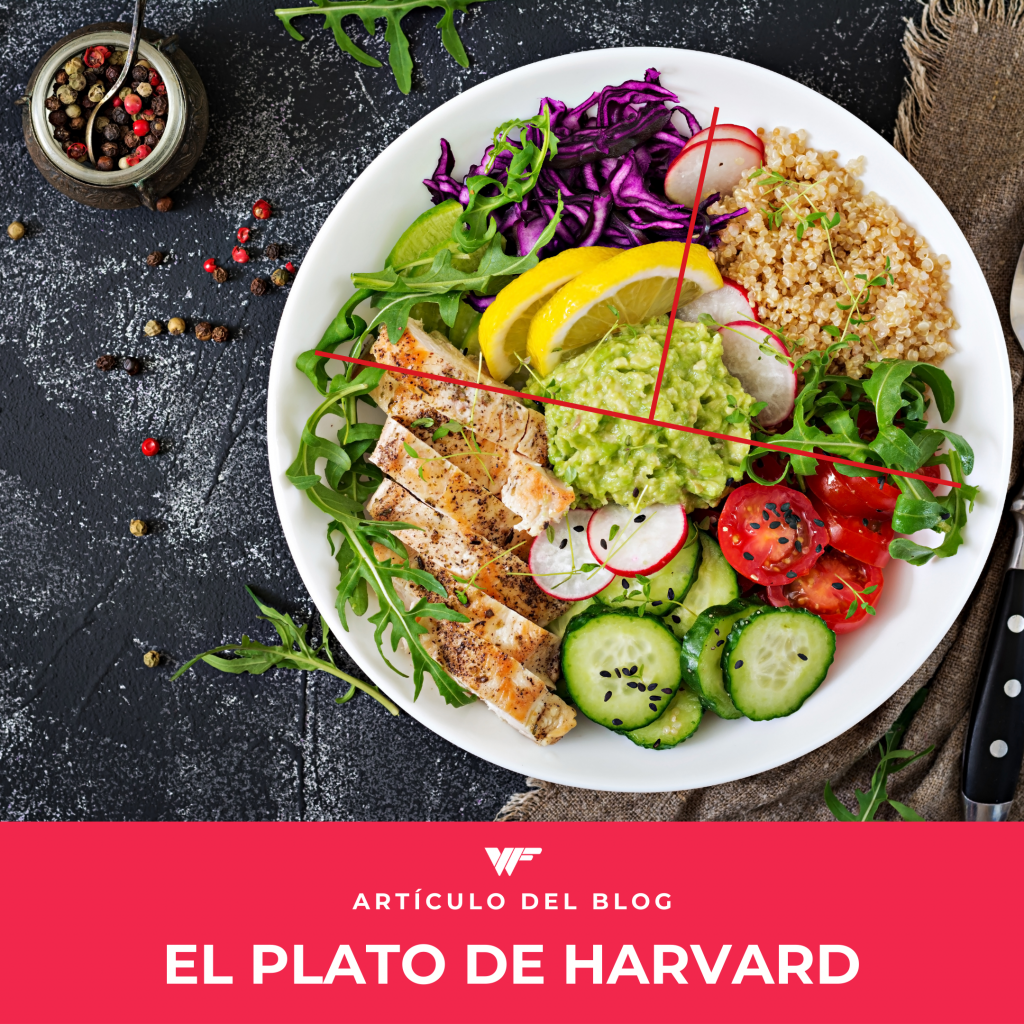EL PLATO DE HARVARD – Wonderfit Spain