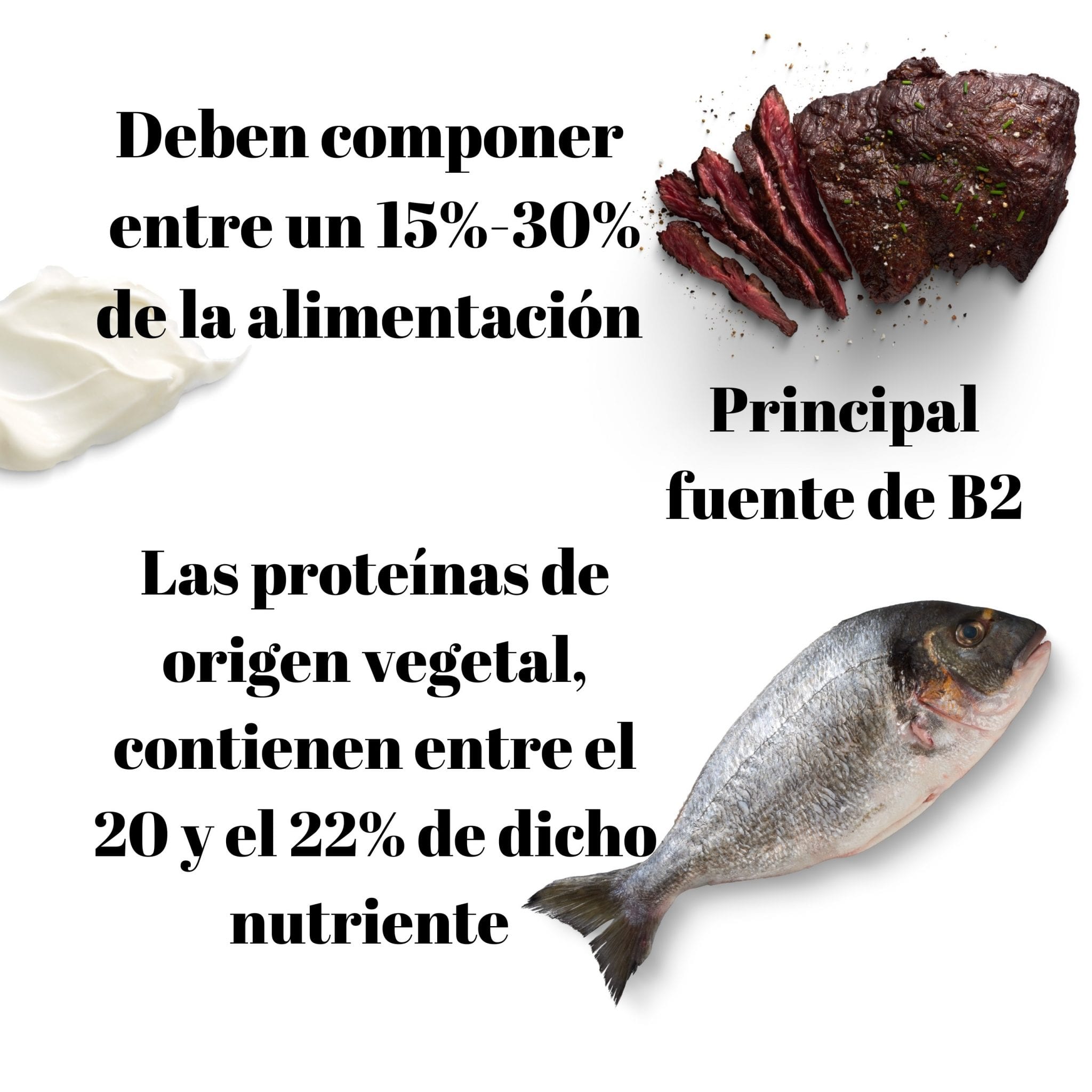 La importancia de las proteínas - Wonderfit Spain