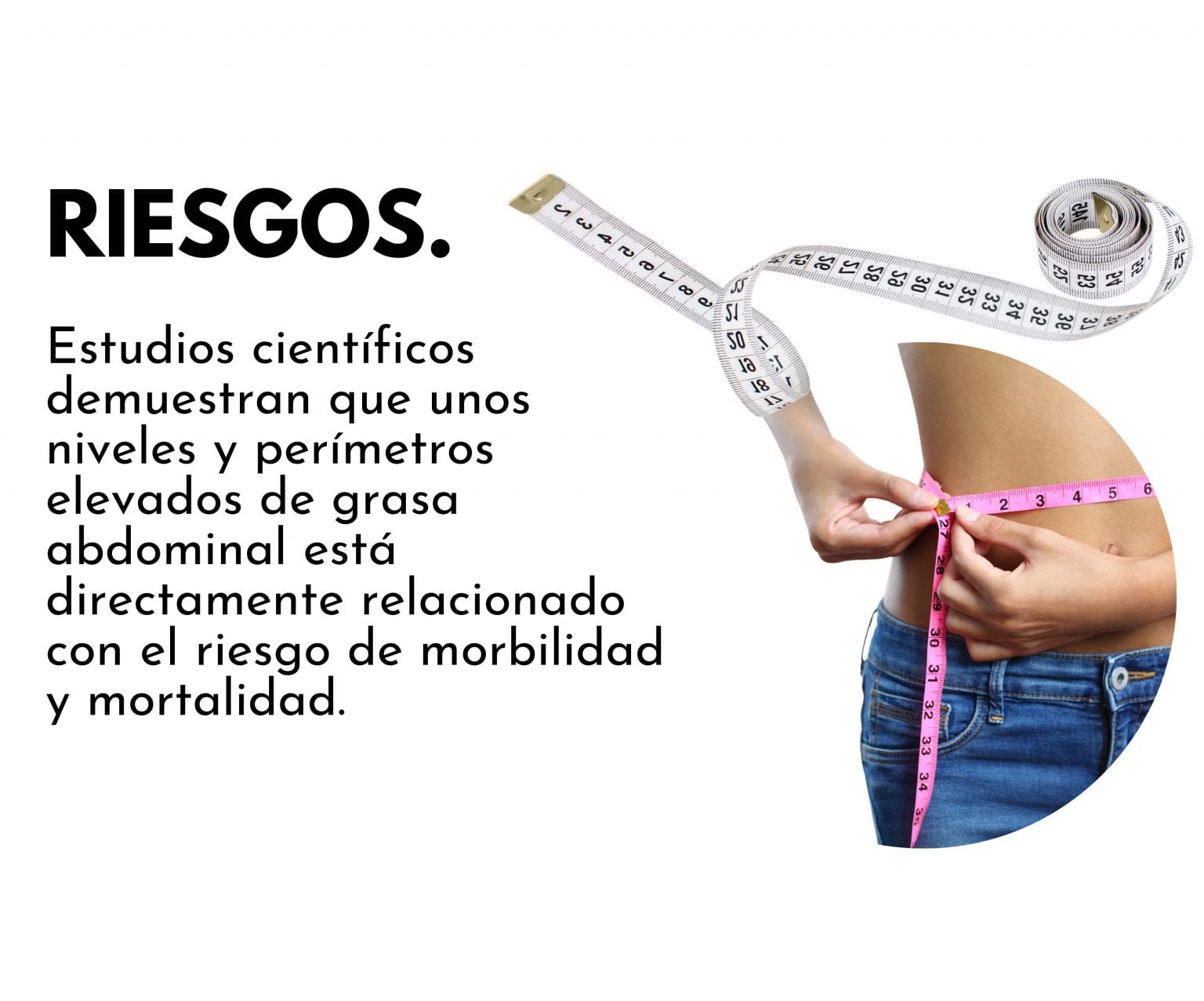 Todo sobre la grasa abdominal – Wonderfit Spain